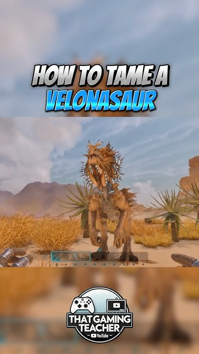 How to tame a Velonasaur in ARK Survival Ascended - YouTube