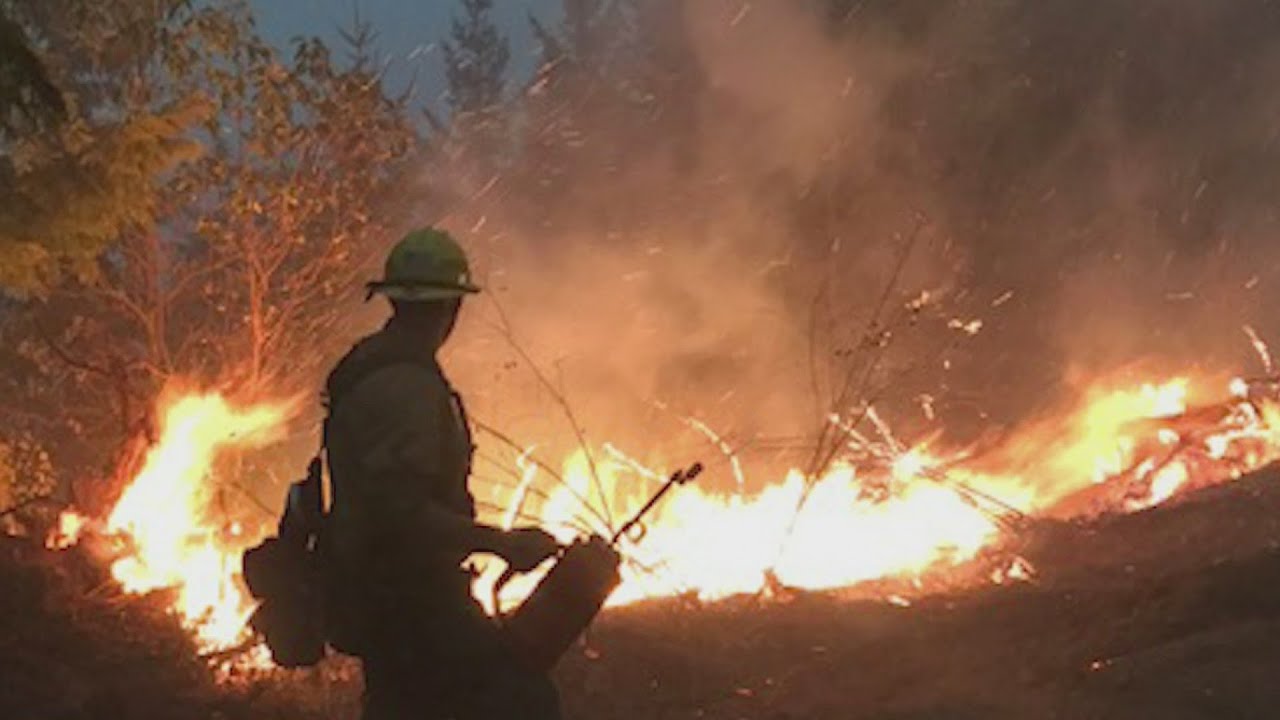 Holiday Farm Fire, Archie Creek Fire still growing - YouTube