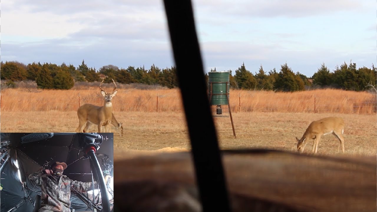 A Cold Front has a Bunch of Deer Moving (Shots Fired) - YouTube