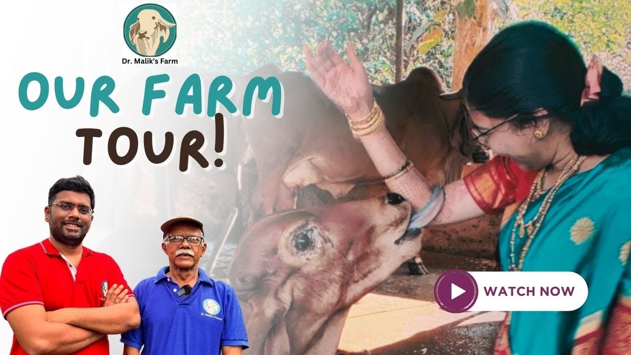 Our farm's tour | Dr. Malik's Farms | Sawani & Chaitanya Malik ...