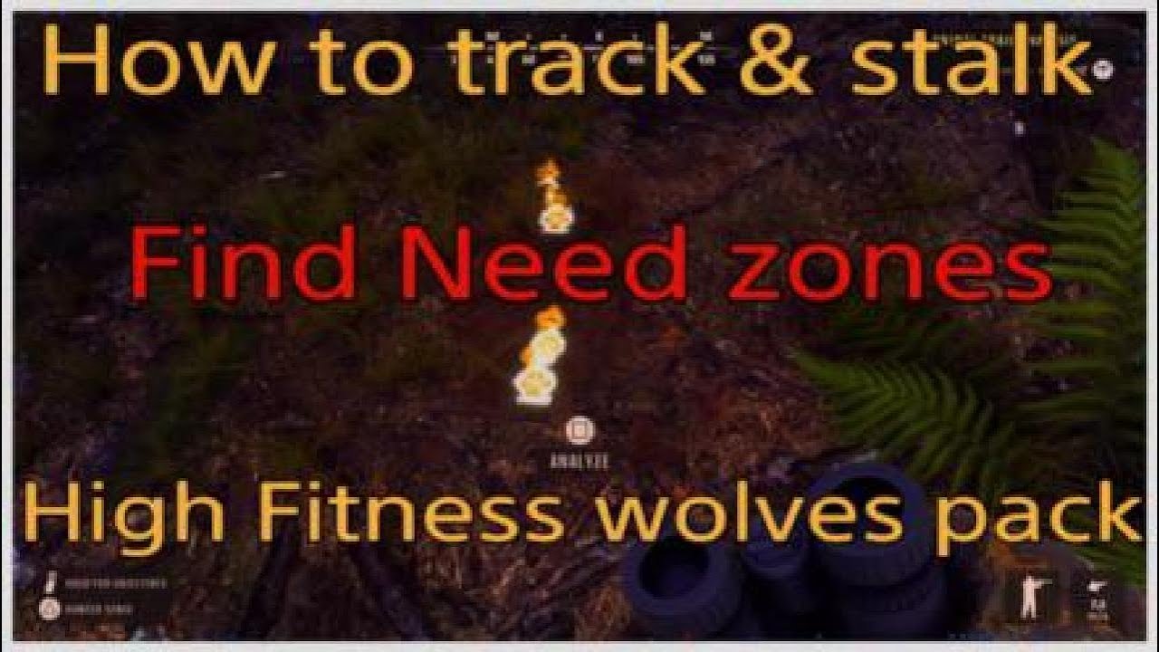 Way of the hunter Tracking wolves / rastreando lobos - YouTube