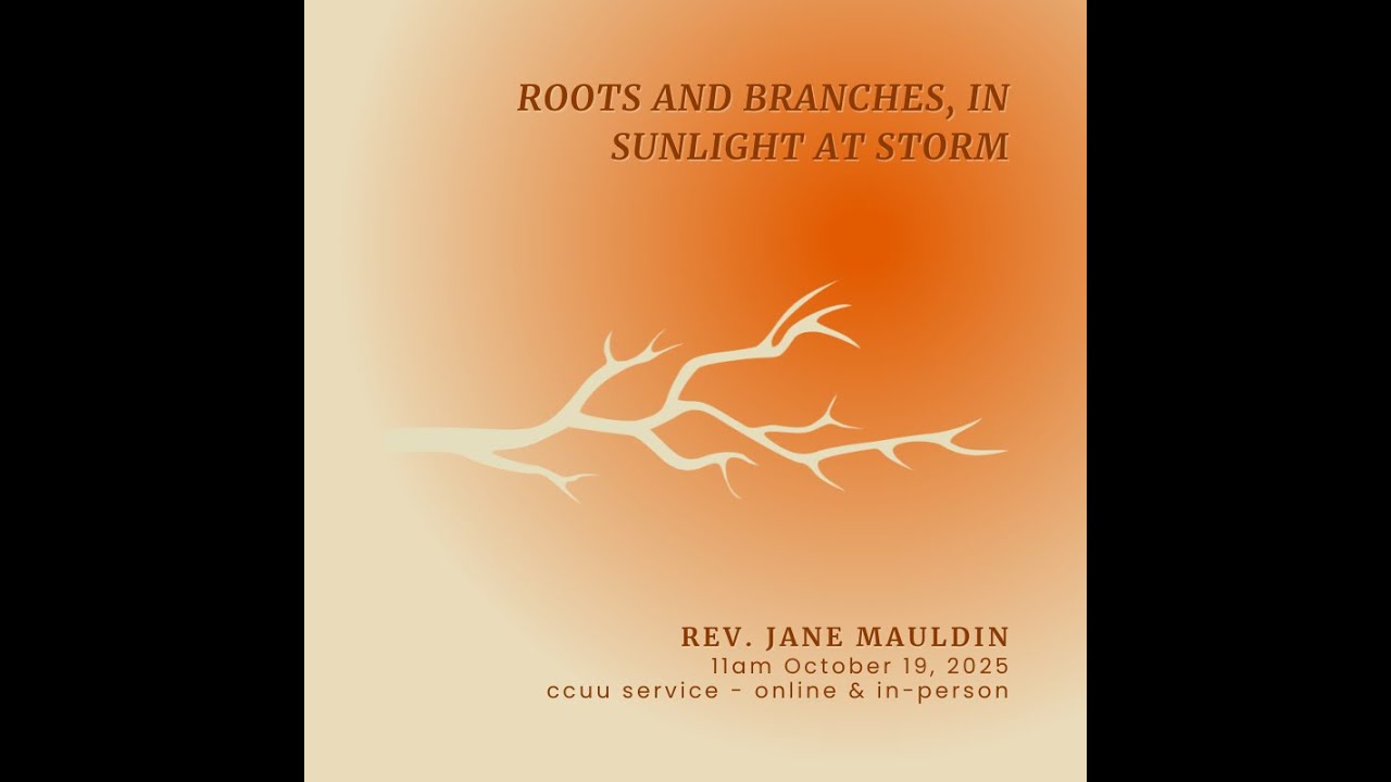 Sunday Service October 19, 2025 - Roots and Branches: In Sunlight at ...