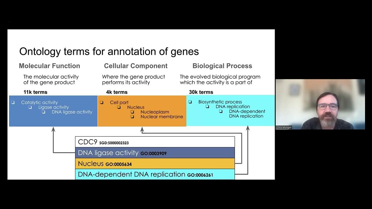 The Gene Ontology: Making functional annotation of plants and animals FAIR. - YouTube