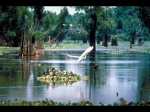 Water Pollution Control Act | Wikipedia audio article