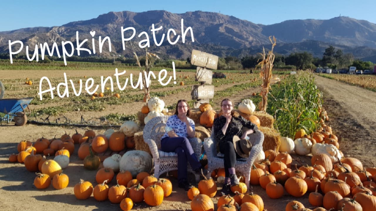 A Pumpkin Patch Adventure!│17 Oct 2021 - YouTube