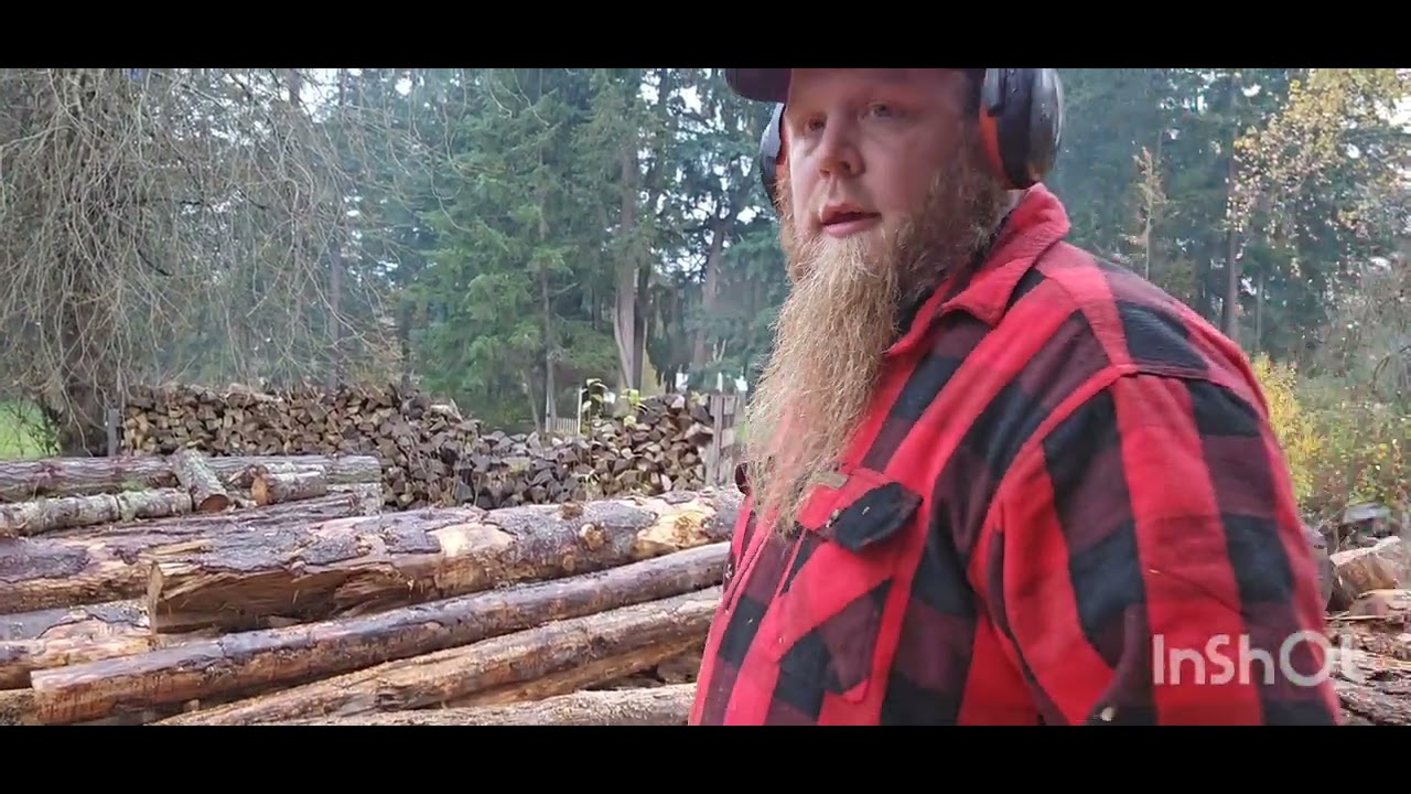 day making man glitter #viralvideos #stihl #woodcutting - YouTube