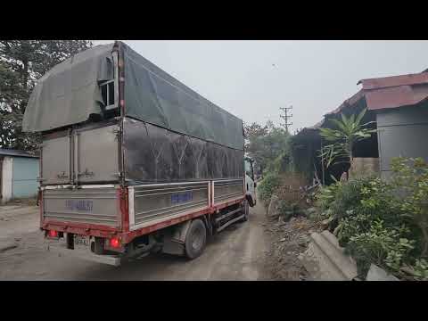 D12E 650 (DEV 736) dồn tàu hàng vào cảng và kéo tàu hàng Ratraco rời ...