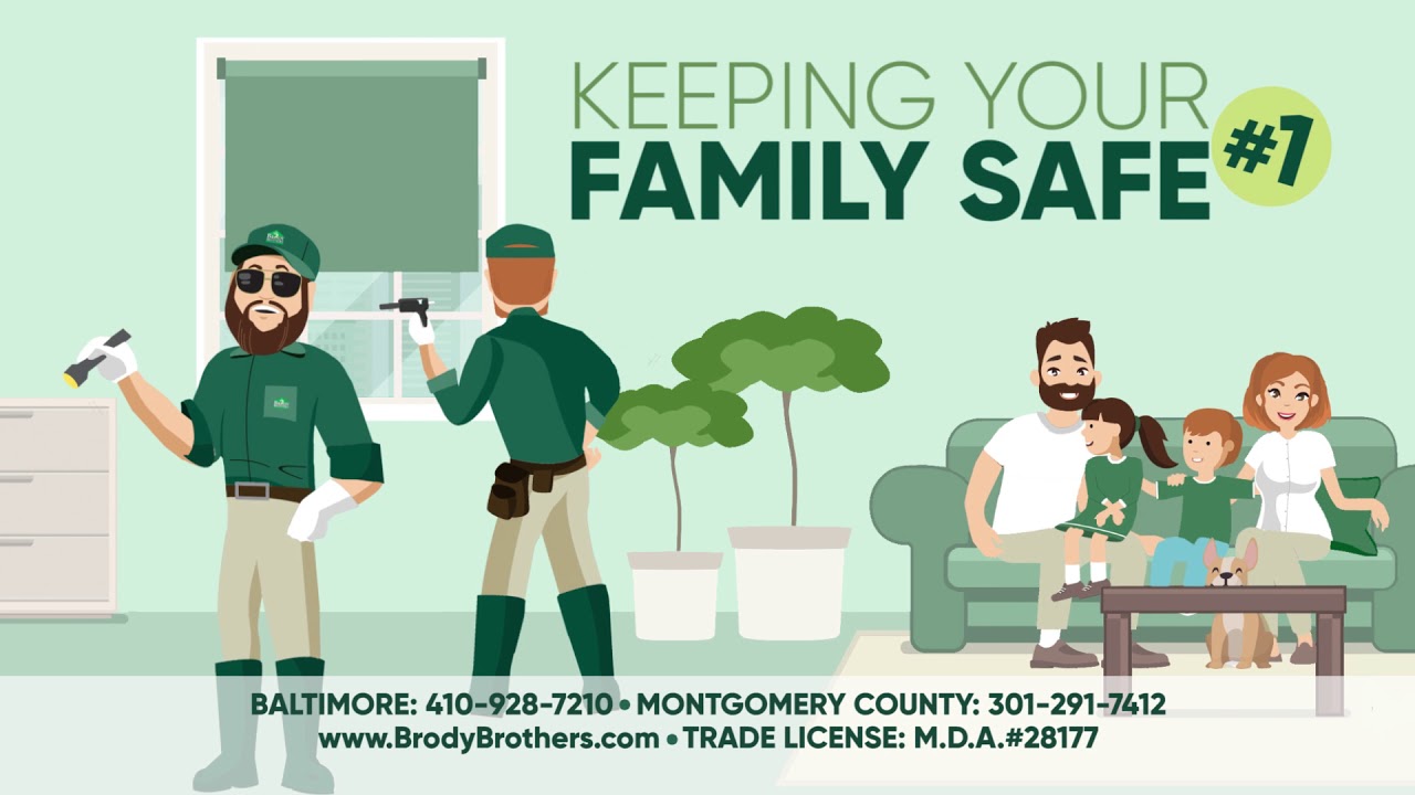 Brody Brothers Commercial - YouTube