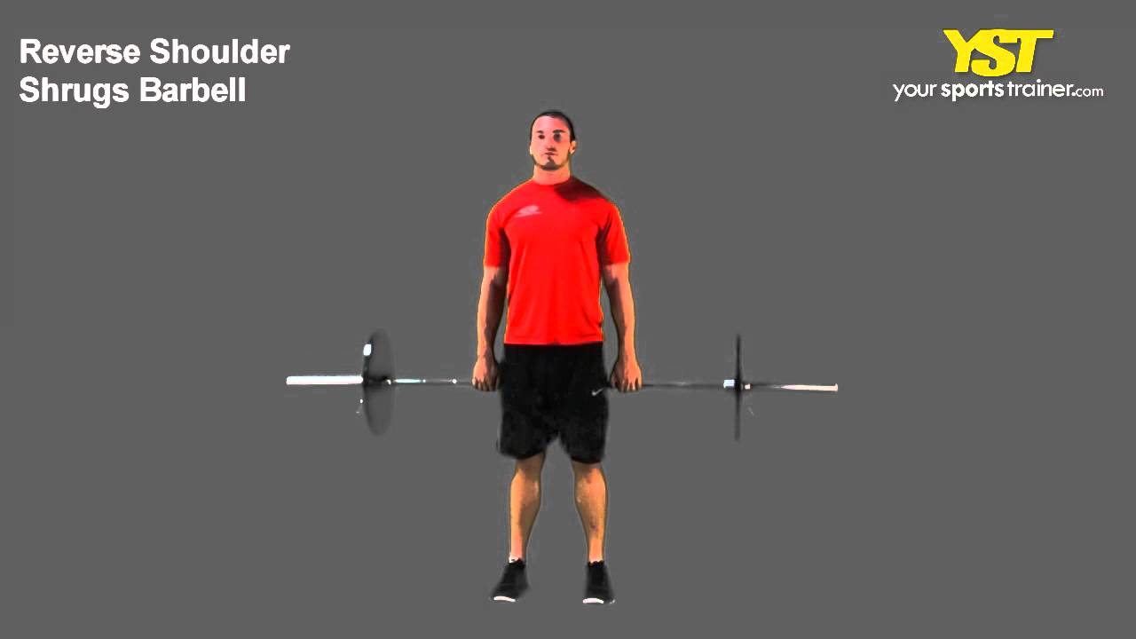 Reverse Shoulder Shrugs Barbell - YouTube