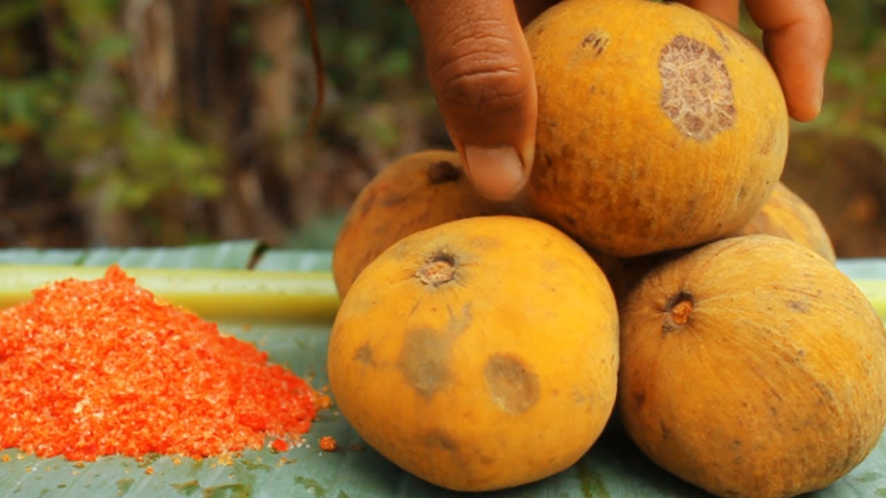 Survival skills: Natural Santos fruit Eating delicious (EATING NO ...