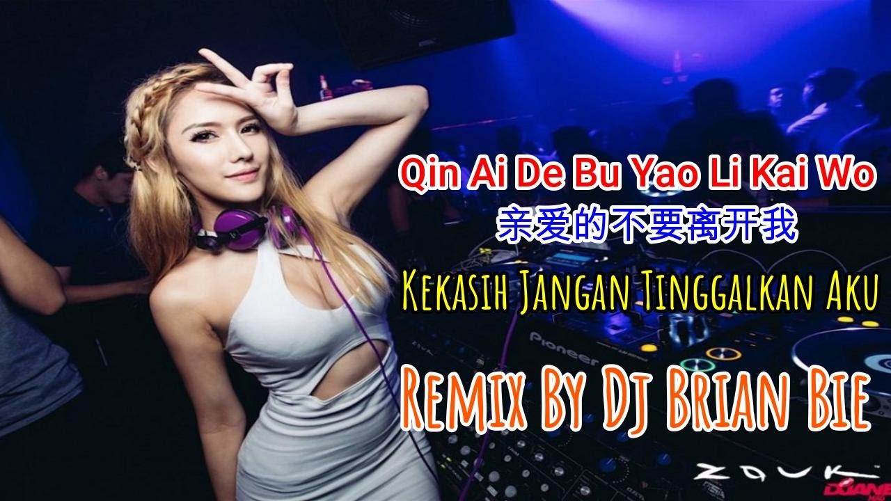 Qing Ai De Bu Yao Li Kai Wo - 亲爱的不要离开我 (Edm Manyao Best 2K23) By Dj Brian Bie #dj抖音版2023# ...