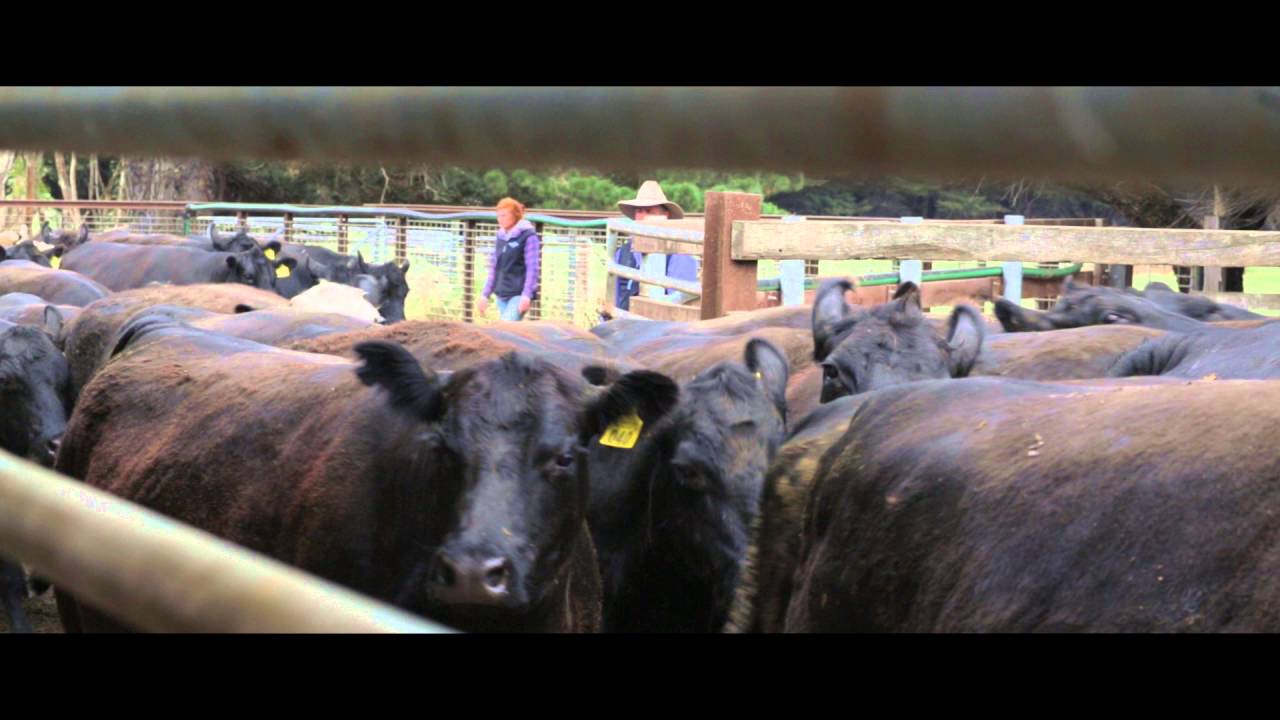 The Midfield Group Corporate Overview - YouTube