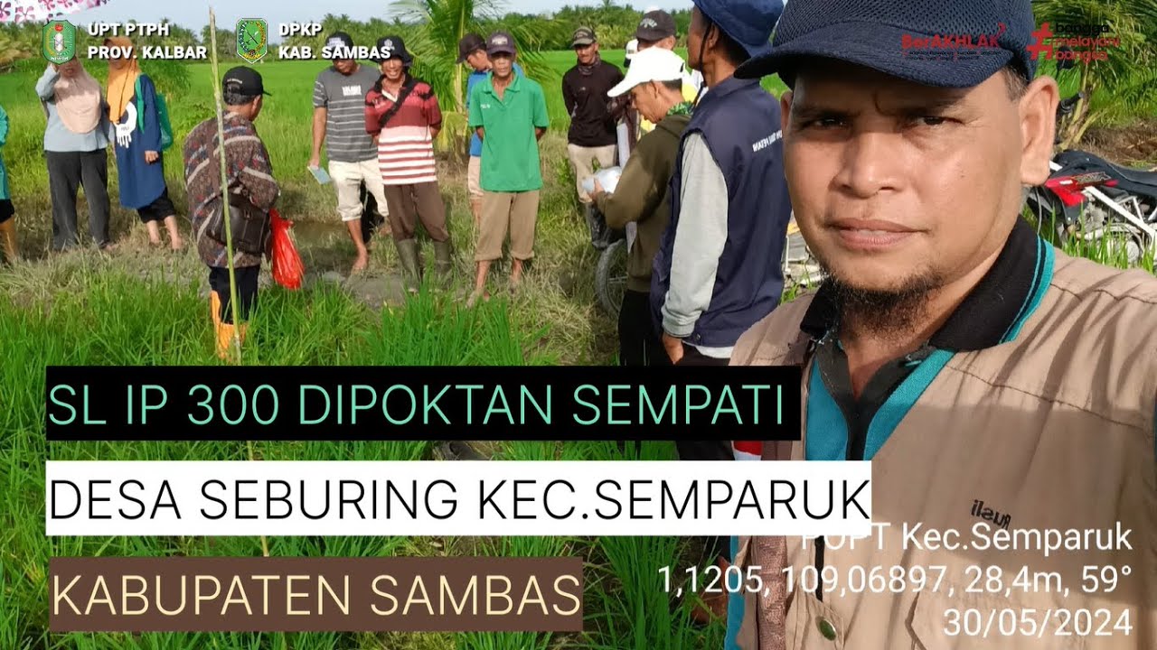 Pendampingan SL IP 300 Di Semparuk, Kab. Sambas - YouTube