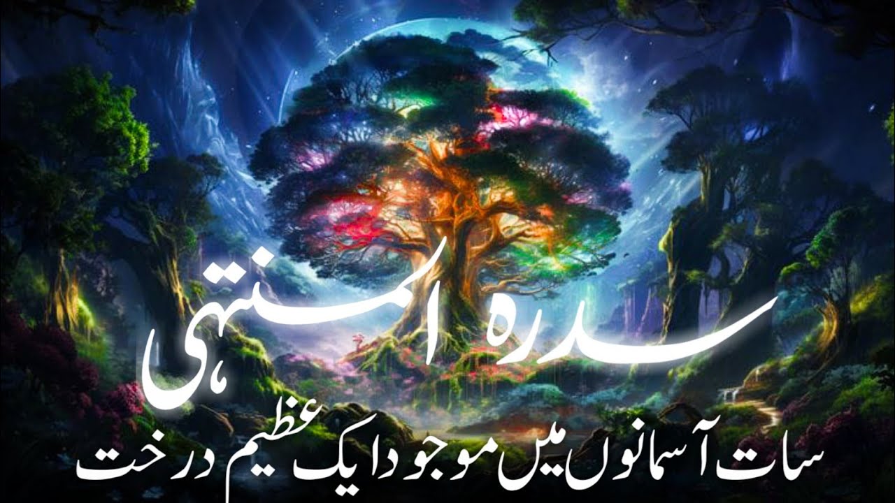 Sidratul Muntaha kya hai | Tree on 7th sky | Sidra tul muntaha and ...