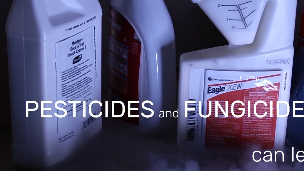 Eagle 20ew Fungicide Label Ythoreccio