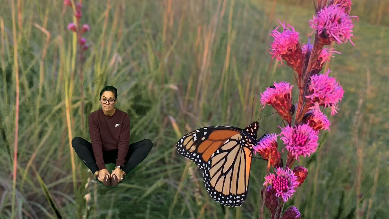 Butterfly Breaths Mindful Minute - YouTube
