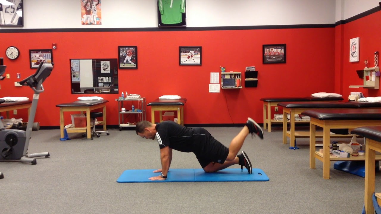 Quadruped Hip Extension