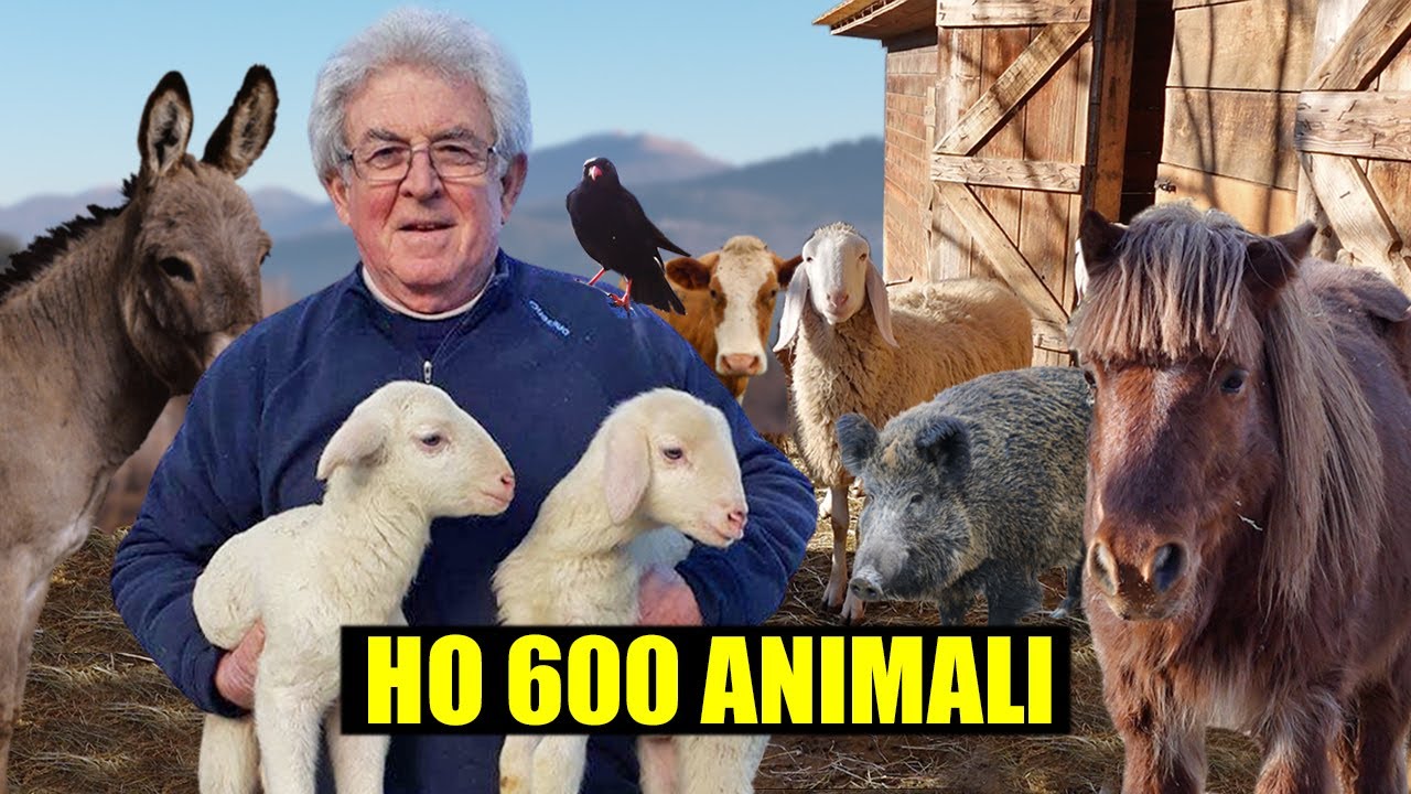 L'UOMO che VIVE con 600 ANIMALI - thepillow - YouTube