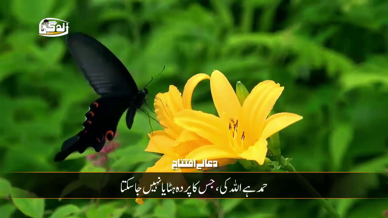 Dua e Iftitah by Ali Fani HD - with Urdu Translation - دعائے افتتاح ...