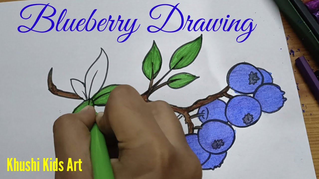 How to draw Blueberry | Blueberry drawing in color pencil | Blueberry ...
