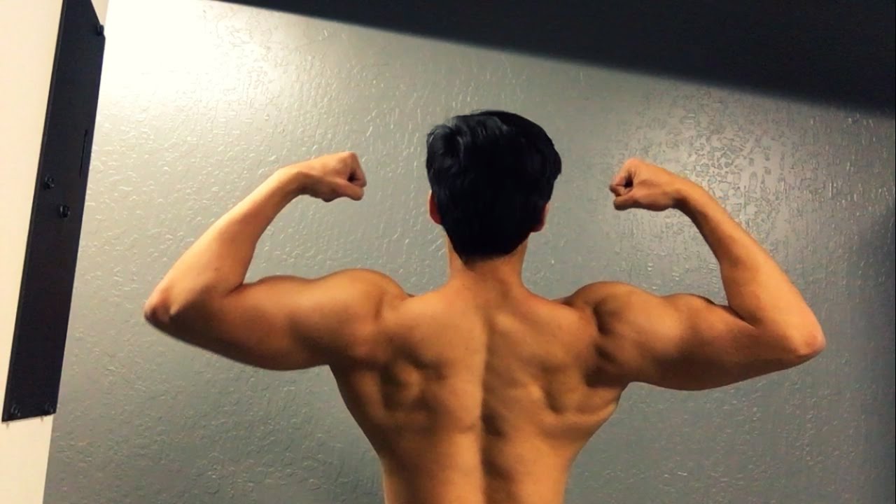 ULTIMATE BACK WORKOUT | GAINING MASS AND STRENGTH - YouTube