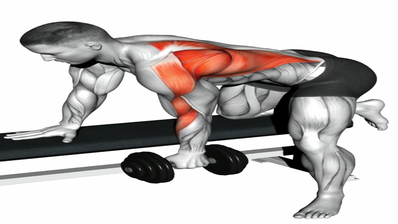 Exercises To Build A Big Back - Gym Body Motivation - YouTube