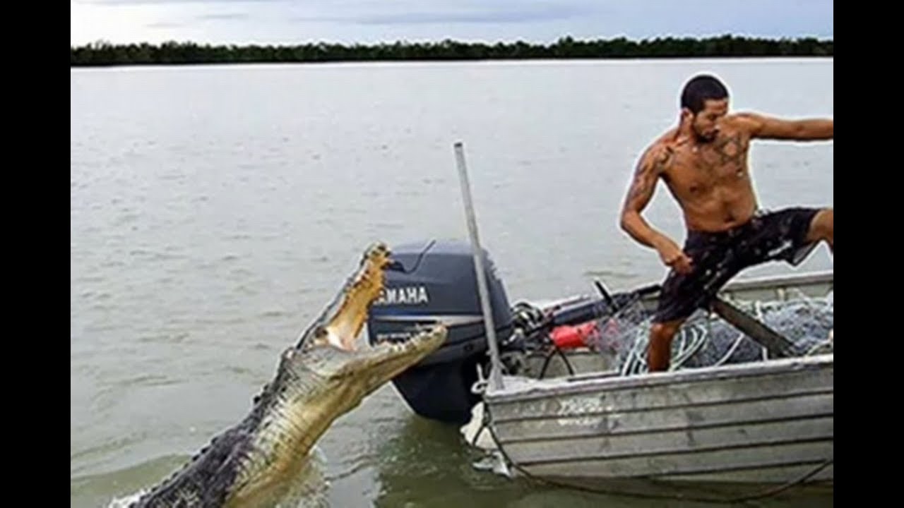 Crocodiles Vs Man real fight - YouTube