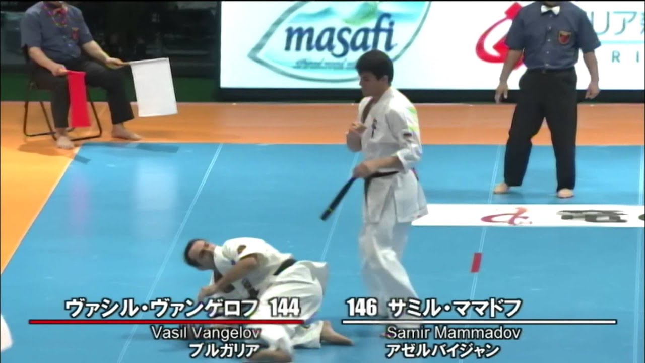 【新極真会】 The 11th World Karate Championship Men 2nd round55 Vasil ...