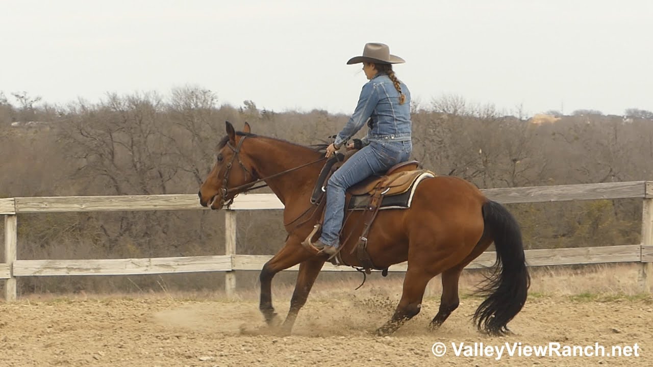 Nics Voodoo Doll - mount, walk, trot, lead changes, big stops, spins! - ValleyViewRanch.net ...