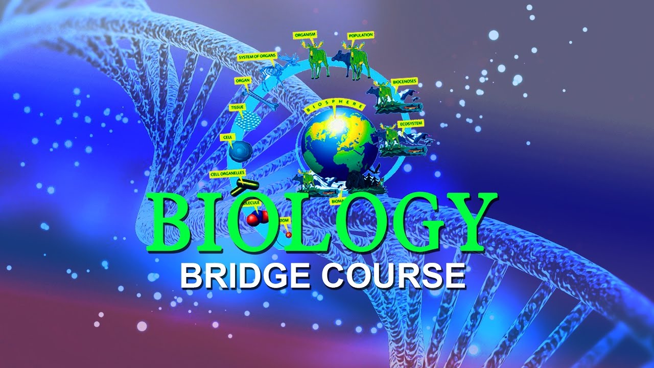 Bridge course for students after 10th Biology chapter 1 Living world ...