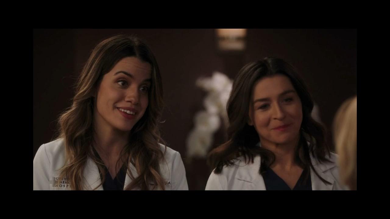 Greys Anatomy Season 21 New Cast & Returning Character Guide - YouTube