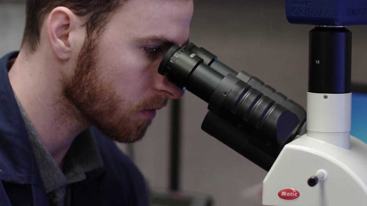 StabLab CEO Dan Eckert Interview Feb 2018 - YouTube