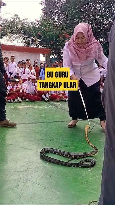 Bu guru histeris tangkap ular #ular #caramenangkapular #ularberbahaya #ularberbisa - YouTube