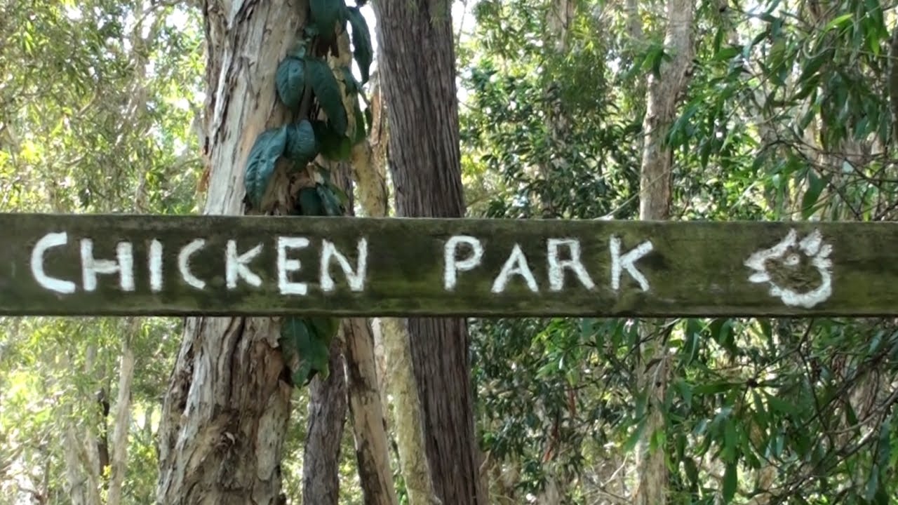 Chicken Park Repairing the Pen Door - YouTube