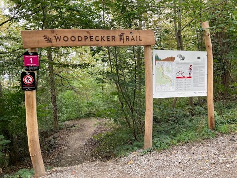 Woodpecker-Trail in Stuttgart - YouTube