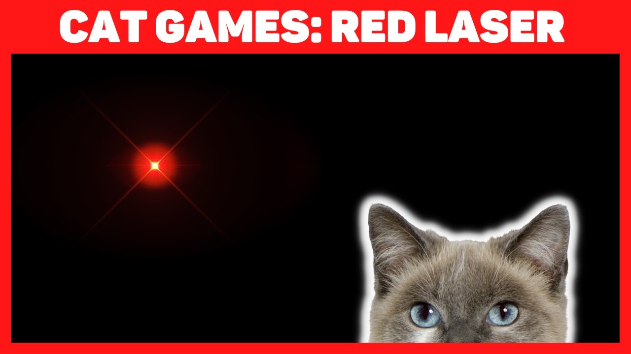 Cat Games: Red Laser | 4K Cat TV 😺 - YouTube