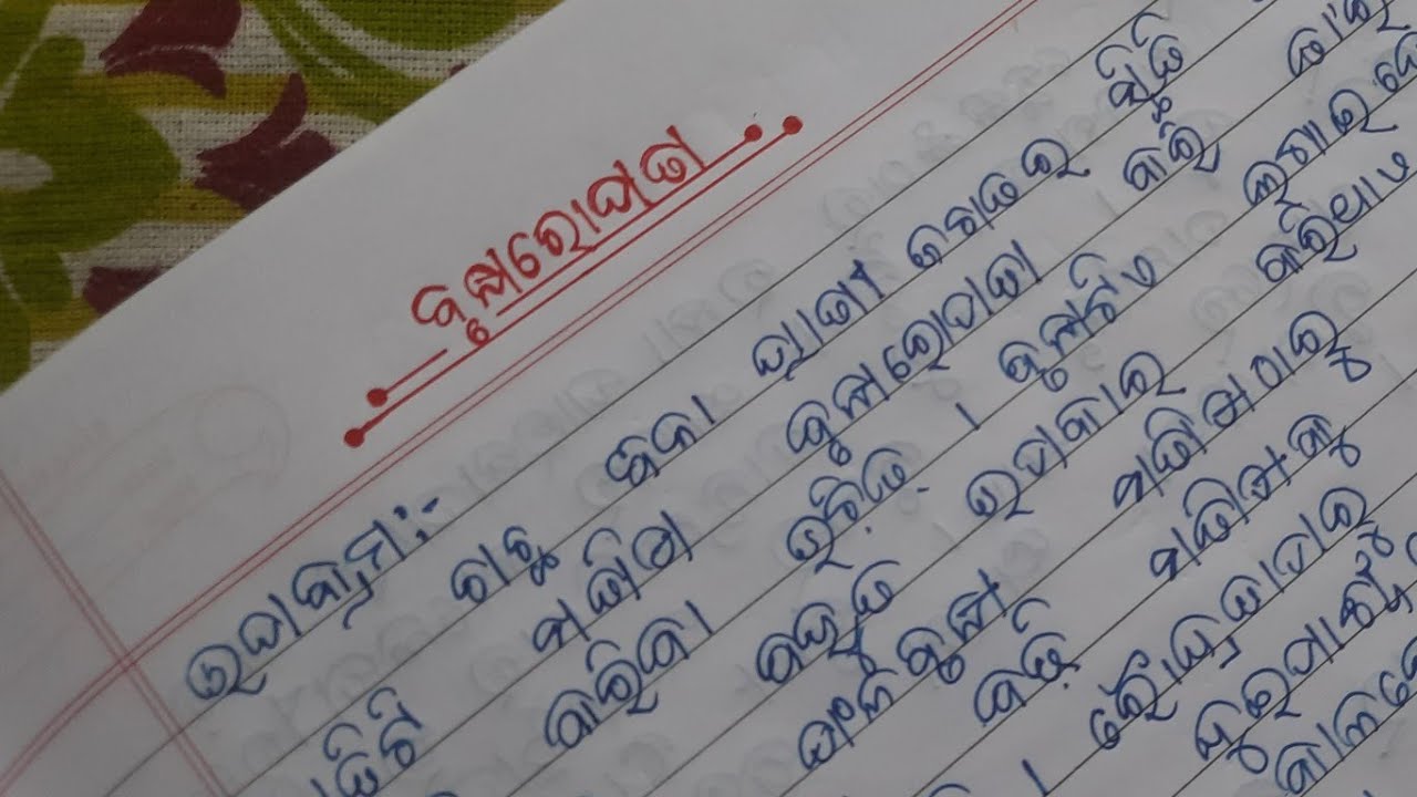 ବୃକ୍ଷରୋପଣ ଓଡିଆ ରଚନା |Brukhya ropana odia esaay |Essay on plantation ...