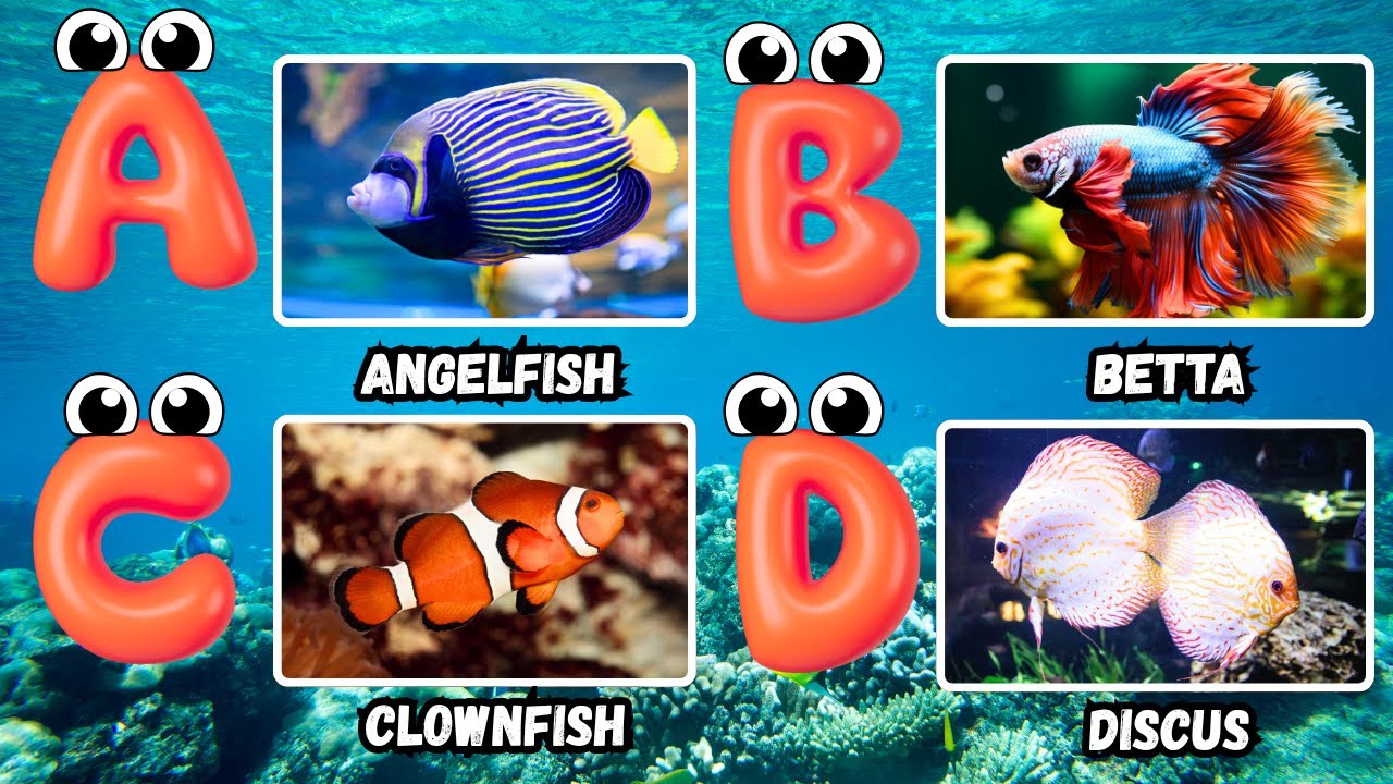 ABC Fish Song for Kids Learn A to Z Fish Names Fun Alphabet Song for ...