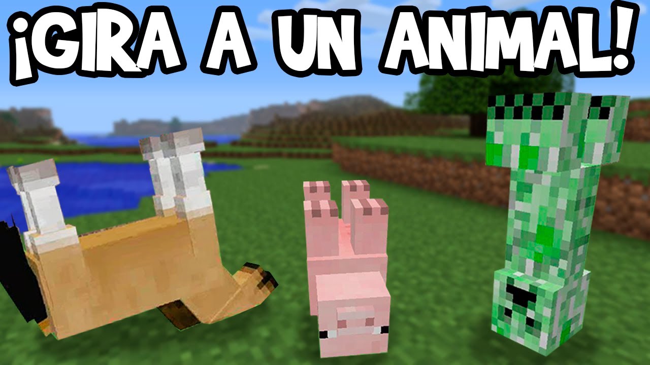 TRUCO EN MINECRAFT |ANIMALES DEL REVÉS| XBOX ONE/ XBOX 360/ PS4/ PS3 ...