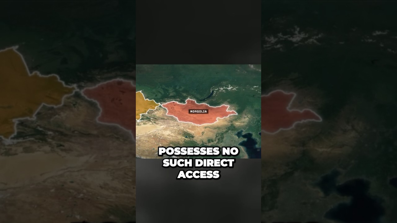 Reallifelore Youtube.fandom.com