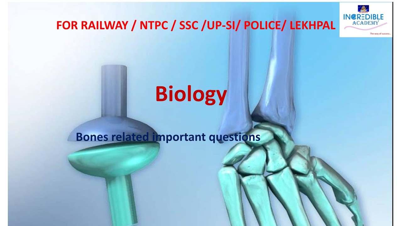 Human Skelton System | Bones |Cartilage |Joints In Human Skelton |Human ...