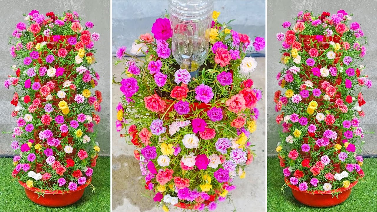 Ideas to recycle plastic bottles into brilliant moss rose towers for ...