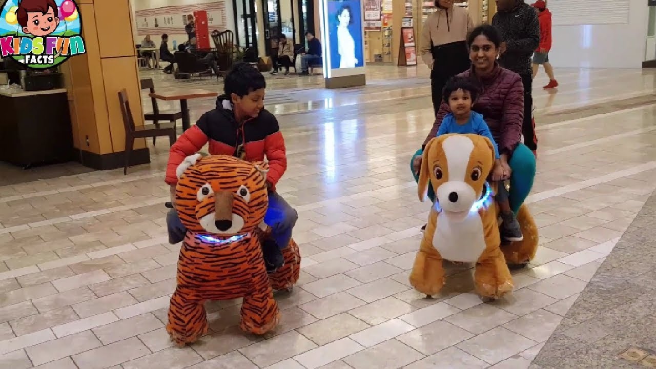 Ride on Dog and Tiger Electric Toys - YouTube