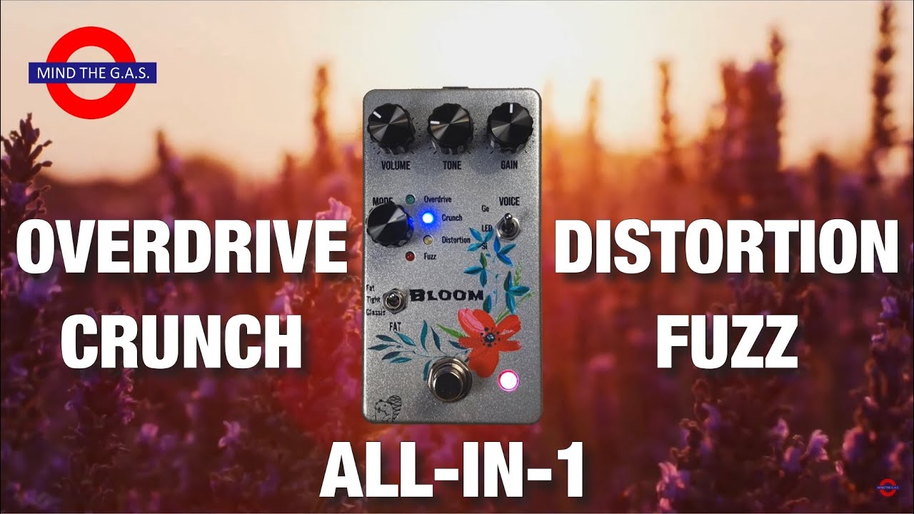 Drunk Beaver Bloom V2 - YouTube