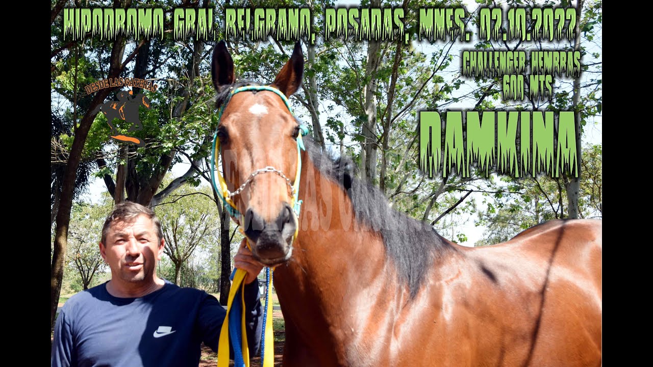 DAMKINA - COPA CHALLENGER 2022.LOS PROTAGONISTAS 600 MTS HEMBRAS ...