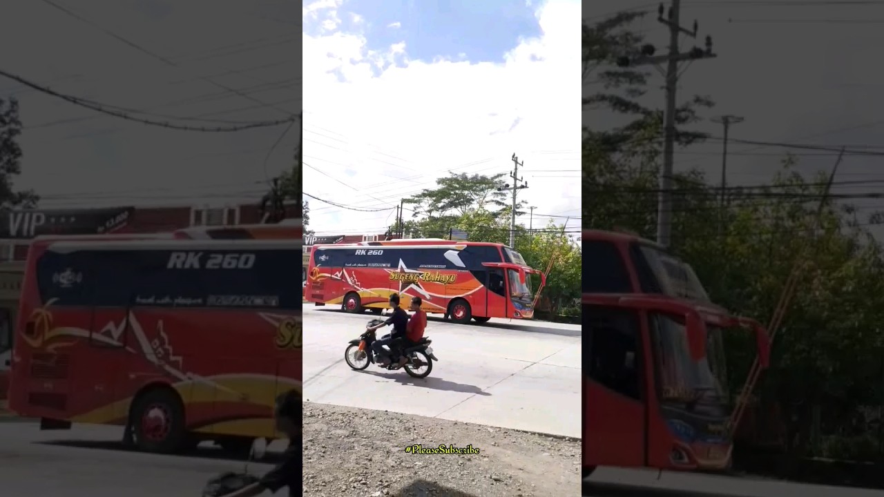 king of the road chasis hino r 260 bus: Sugeng Rahayu Bus #shorts - YouTube