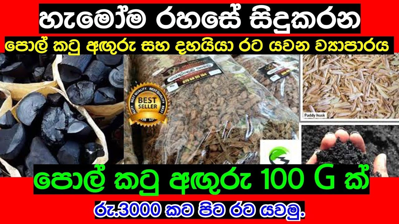 #pol katu #sinhala business ideas #online jobs - YouTube