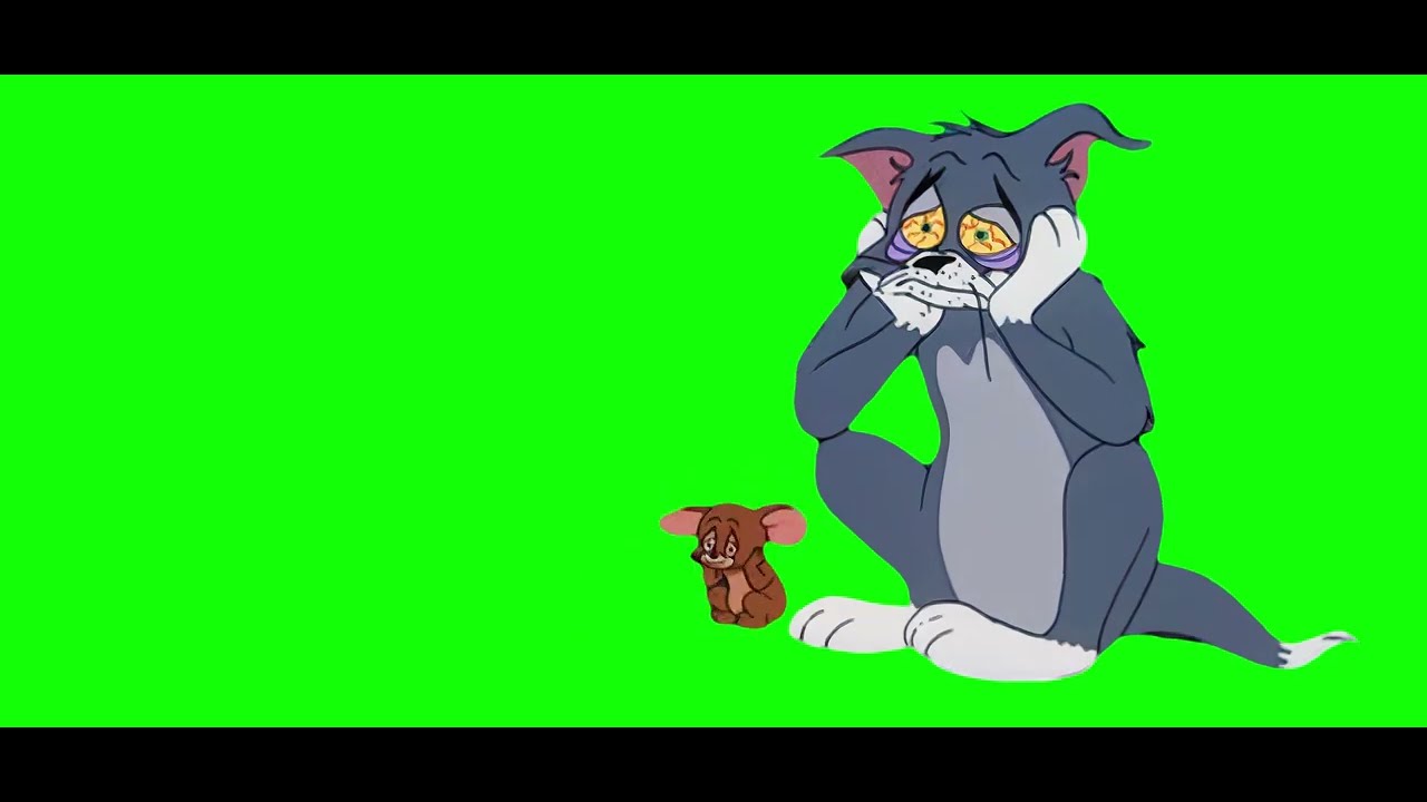 Sad Tom and Jerry sitting on Train Tracks meme - Green Screen - YouTube