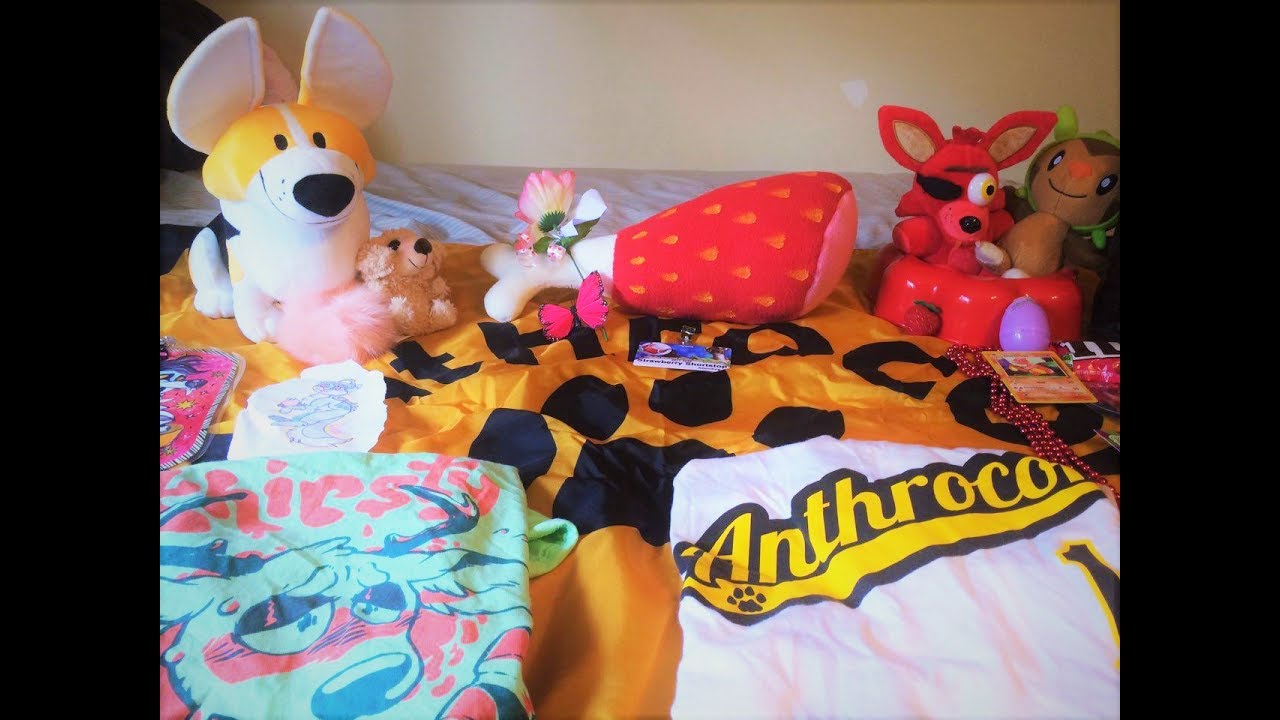 Furry Gifts from Anthrocon 2017 - YouTube