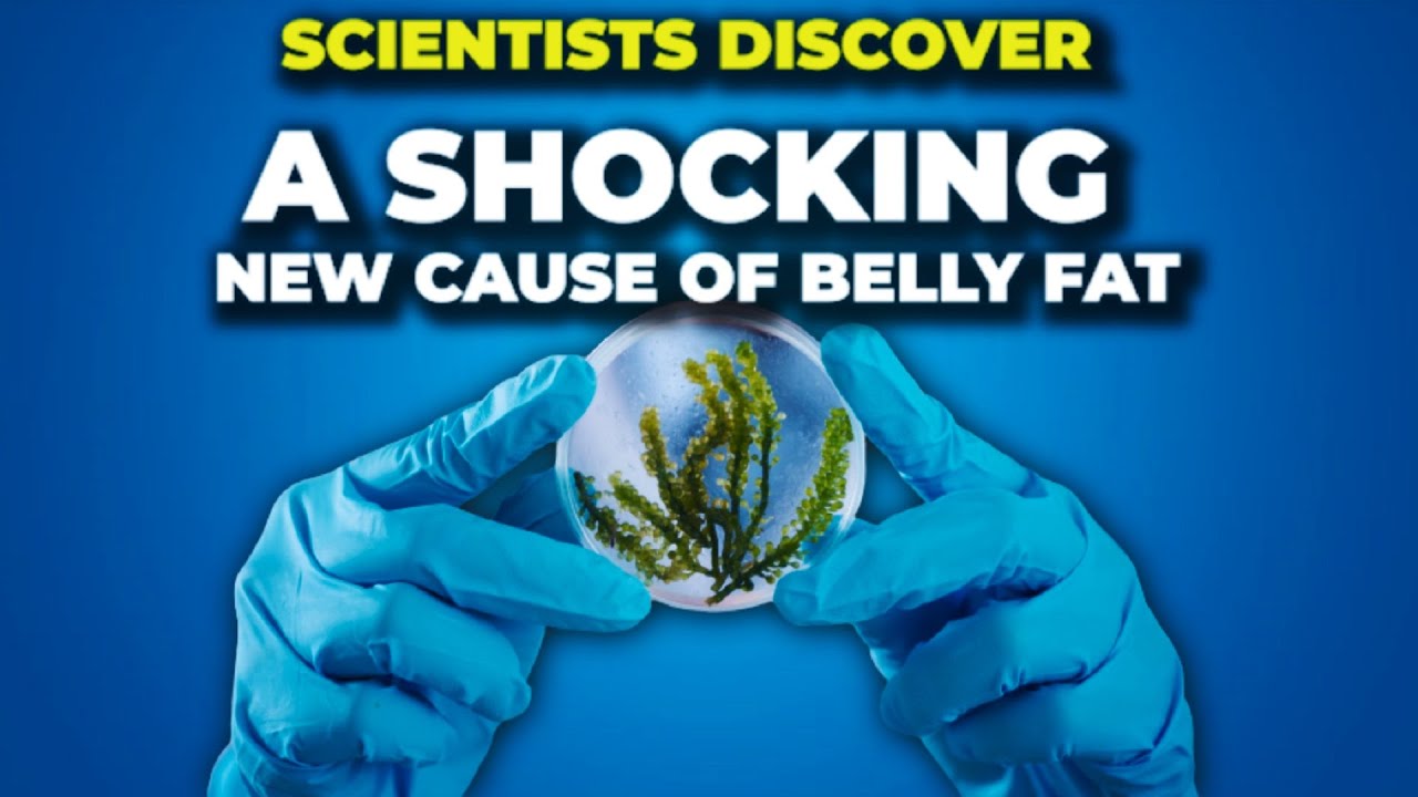STANFORD SCIENTISTS DISCOVER A SHOCKING NEW CAUSE OF BELLY FAT!!! - YouTube